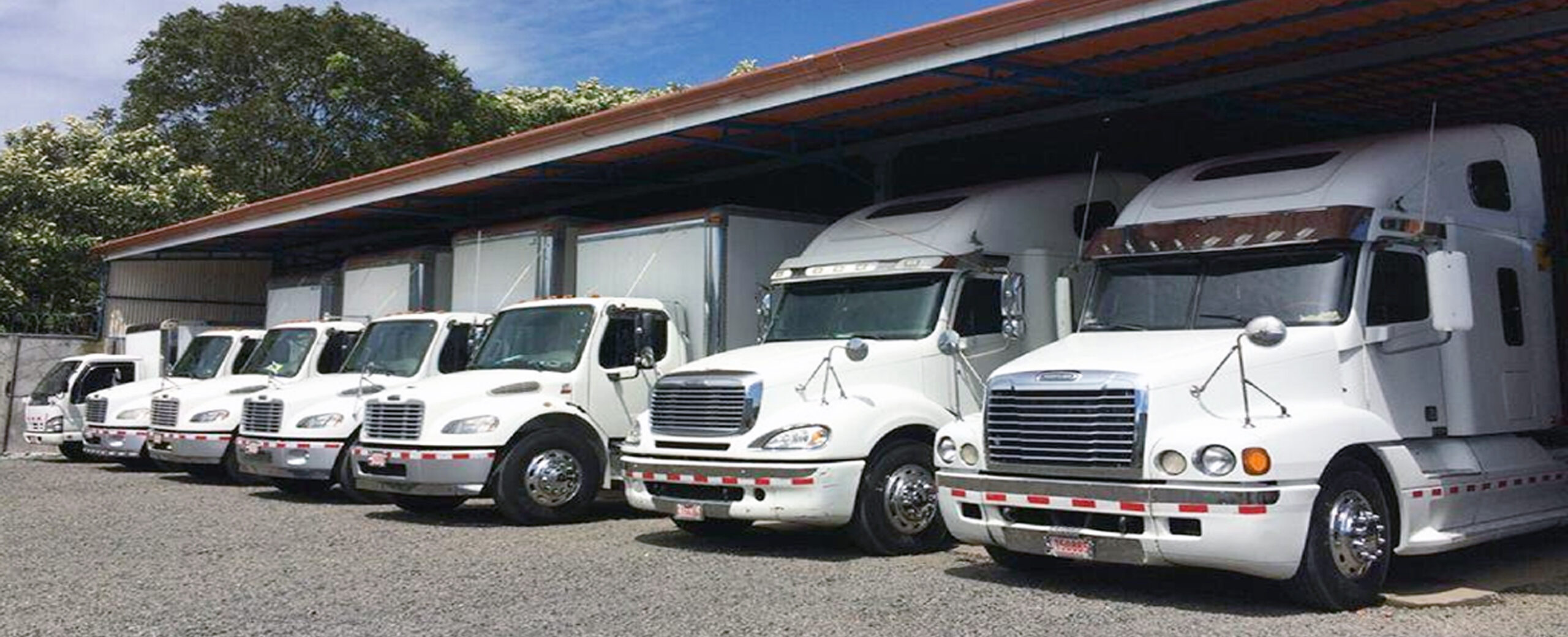BTM TRANSPORTES